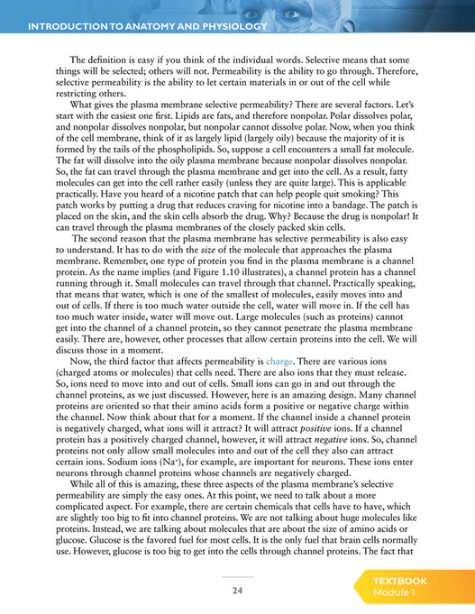 Apologia Educational Ministries - Exploring Creation with Advanced ...