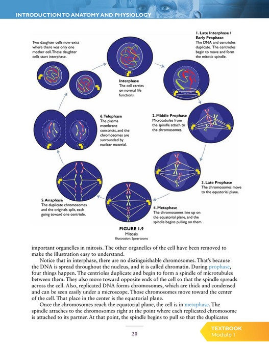 Apologia Educational Ministries - Exploring Creation with Advanced ...
