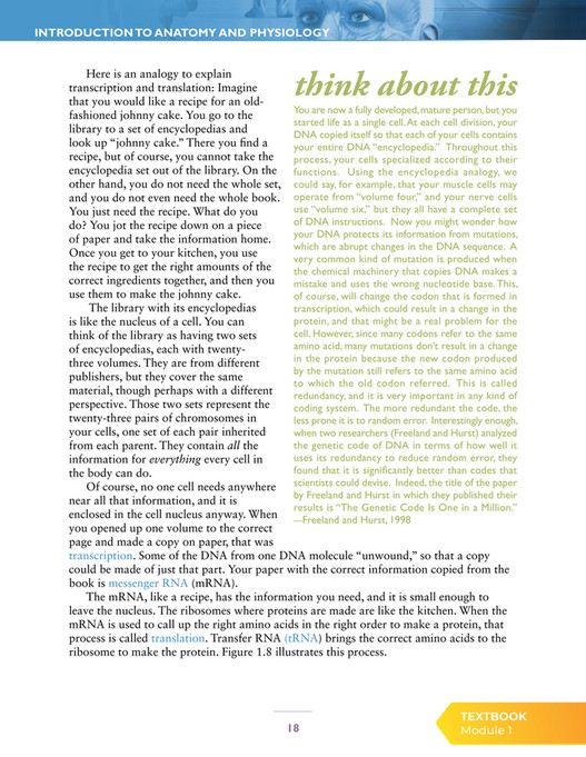 Apologia Educational Ministries - Exploring Creation with Advanced ...