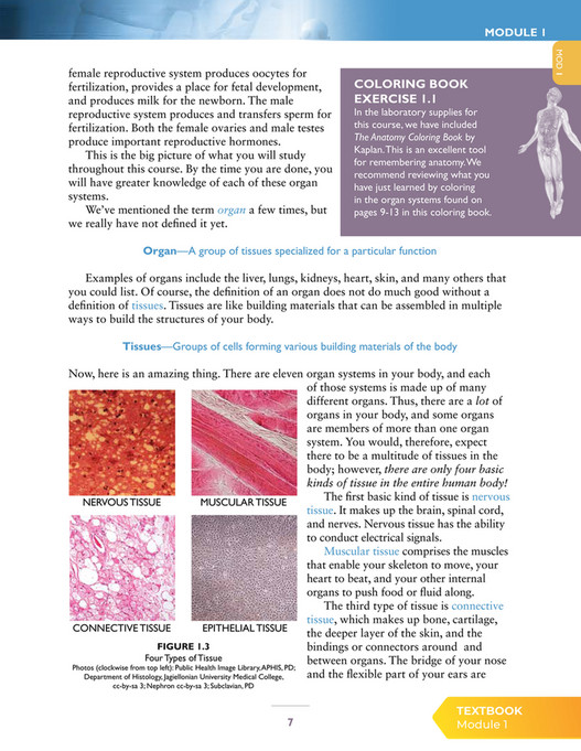 Apologia Educational Ministries - Exploring Creation with Advanced ...