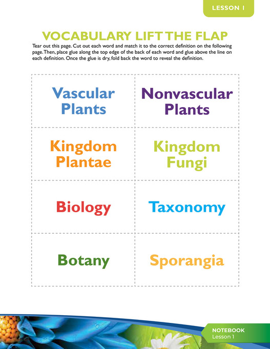 Apologia Educational Ministries - Exploring Creation with Botany ...
