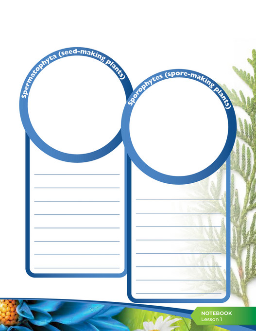 Apologia Educational Ministries - Exploring Creation with Botany ...