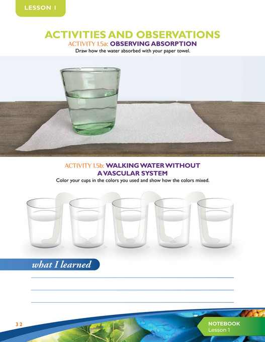 Apologia Educational Ministries - Exploring Creation with Botany ...