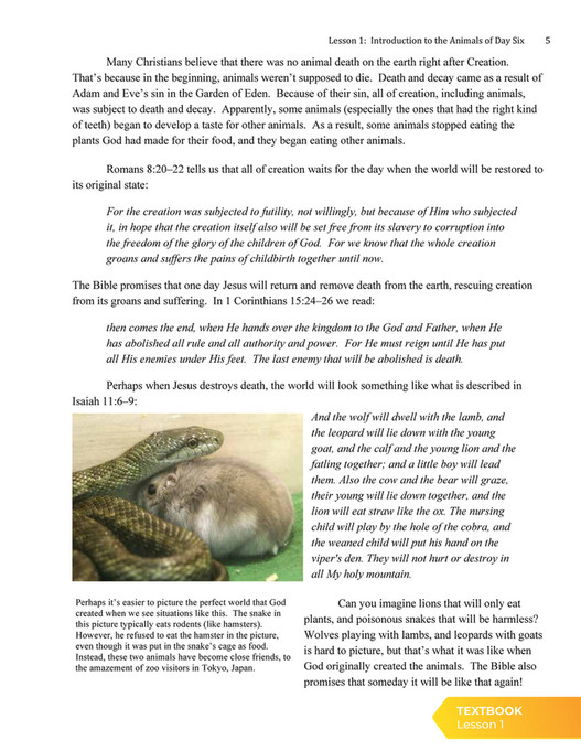 Apologia Educational Ministries - Exploring Creation with Zoology 3 ...