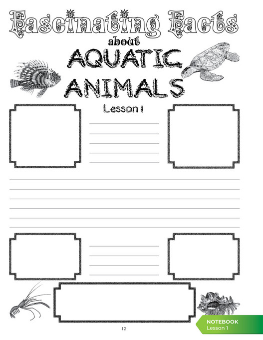 Apologia Educational Ministries - Exploring Creation with Zoology 2 ...