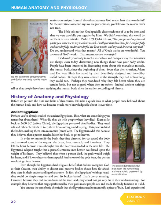 Apologia Educational Ministries - Exploring Creation with Anatomy and ...