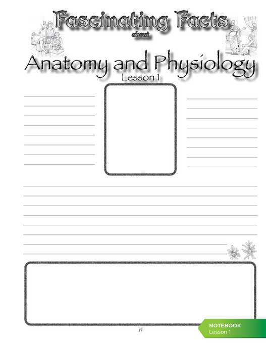 Apologia Educational Ministries - Exploring Creation with Anatomy and ...