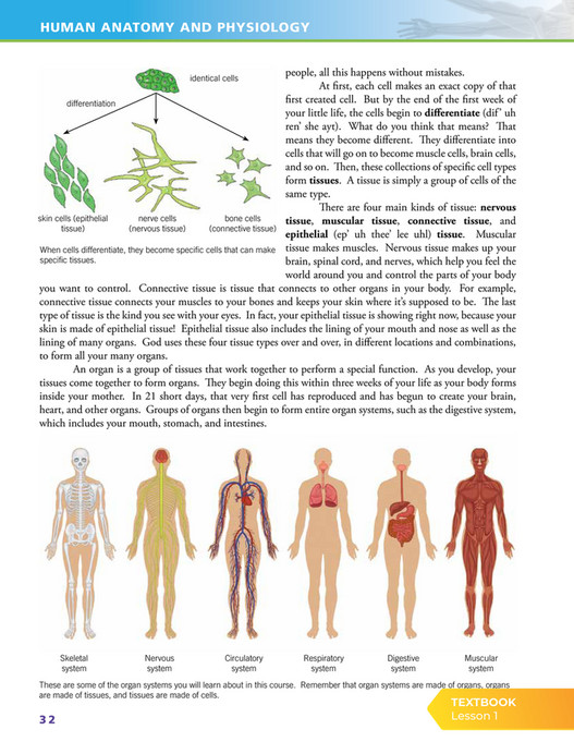 Apologia Educational Ministries - Exploring Creation with Anatomy and ...