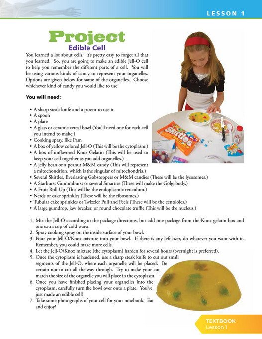 Apologia Educational Ministries - Exploring Creation with Anatomy and ...