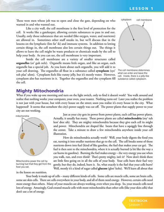 Apologia Educational Ministries - Exploring Creation with Anatomy and ...
