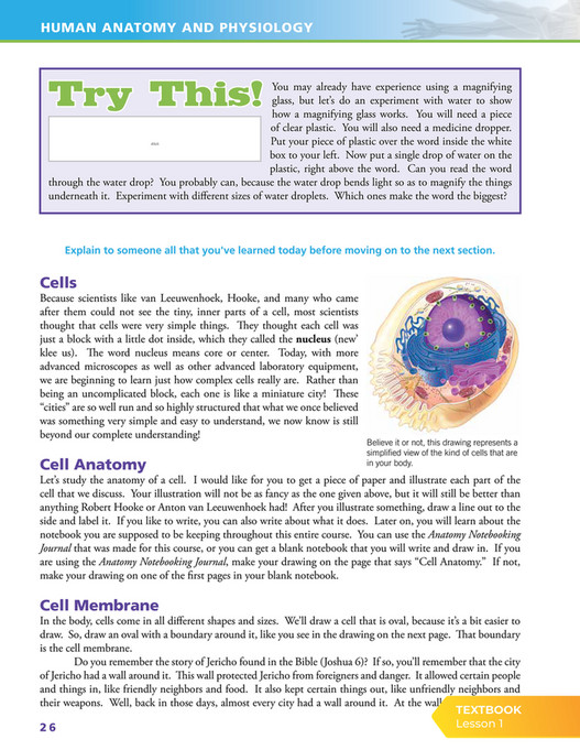 Apologia Educational Ministries - Exploring Creation with Anatomy and ...