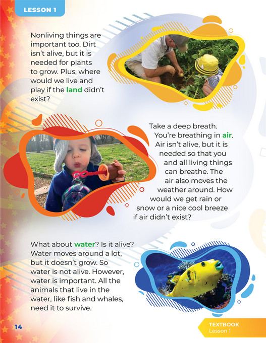 Apologia Educational Ministries - Preschool Science: Exploring Creation ...