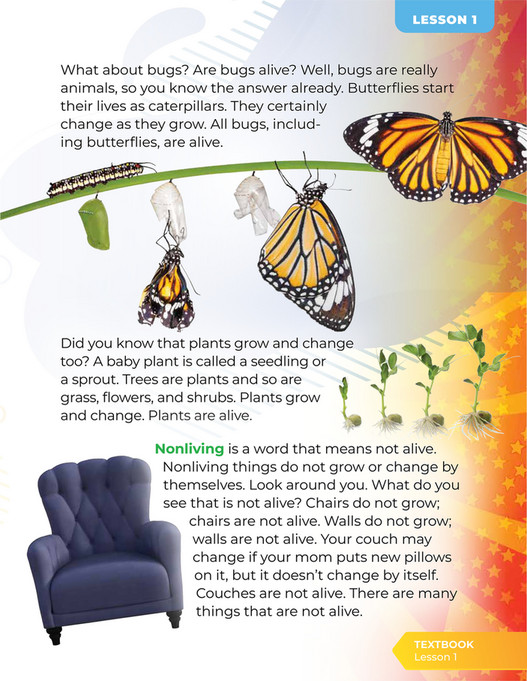 Apologia Educational Ministries - Preschool Science: Exploring Creation ...