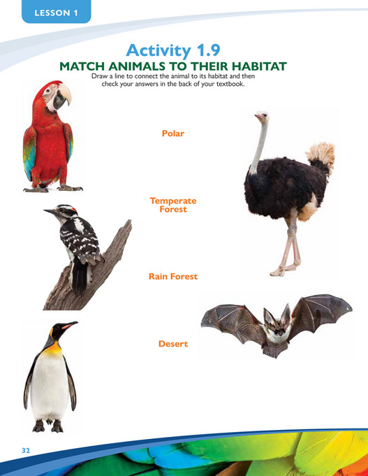 Apologia Educational Ministries - Exploring Creation with Zoology 1 ...