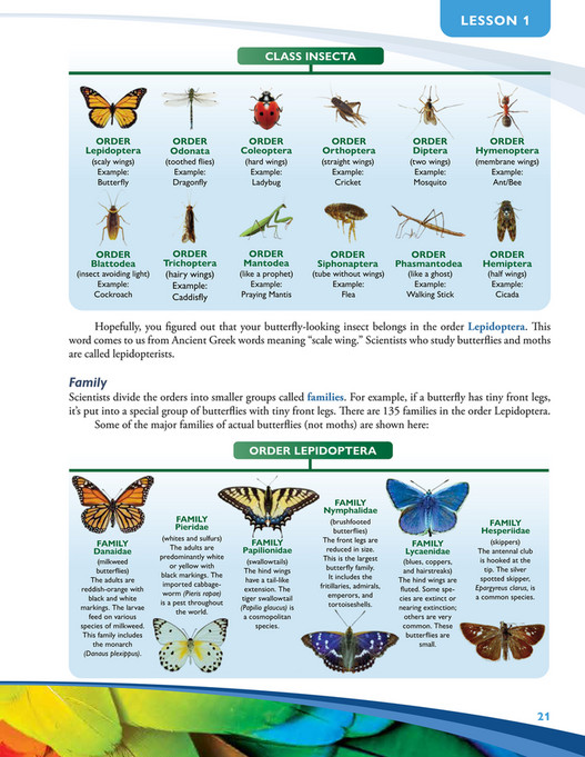 Apologia Educational Ministries - Exploring Creation with Zoology 1 ...