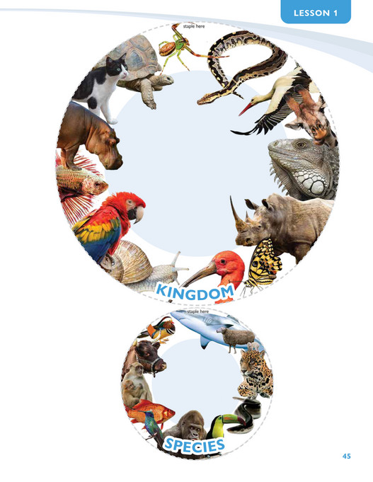 Apologia Educational Ministries - Exploring Creation with Zoology 1 ...