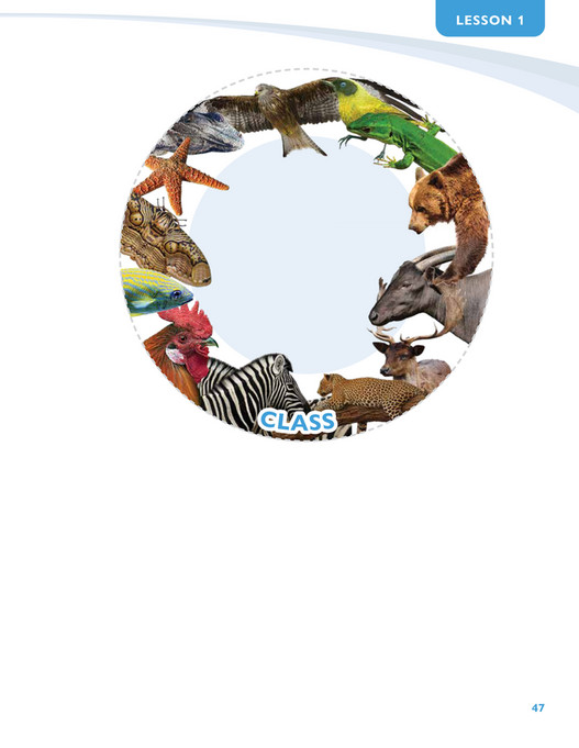 Apologia Educational Ministries - Exploring Creation with Zoology 1 ...
