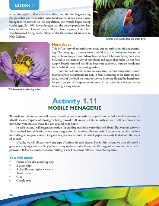 Apologia Educational Ministries - Exploring Creation with Zoology 1 ...
