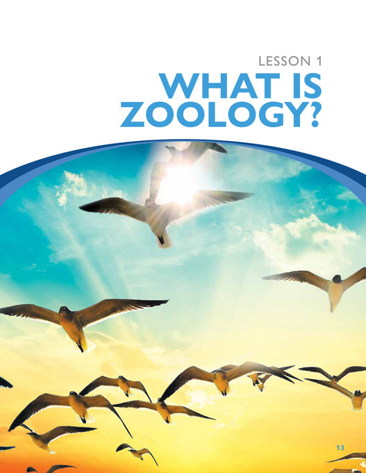 Apologia Educational Ministries - Exploring Creation with Zoology 1 ...