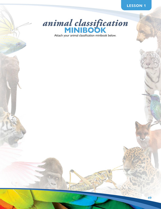 Apologia Educational Ministries - Exploring Creation with Zoology 1 ...