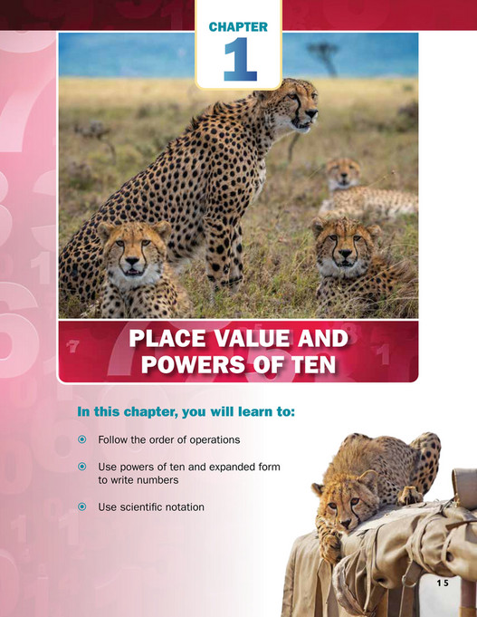 Apologia Educational Ministries - Exploring Creation with Mathematics, Level 5 | Sample - Page 8