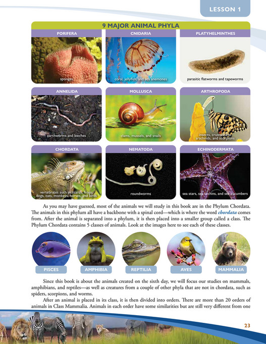 Apologia Educational Ministries - Exploring Creation with Zoology 3 ...