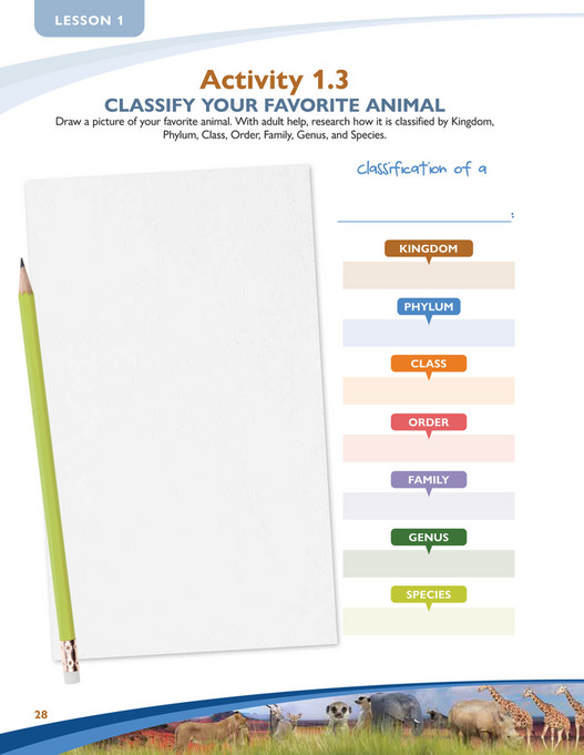 Apologia Educational Ministries - Exploring Creation with Zoology 3 ...