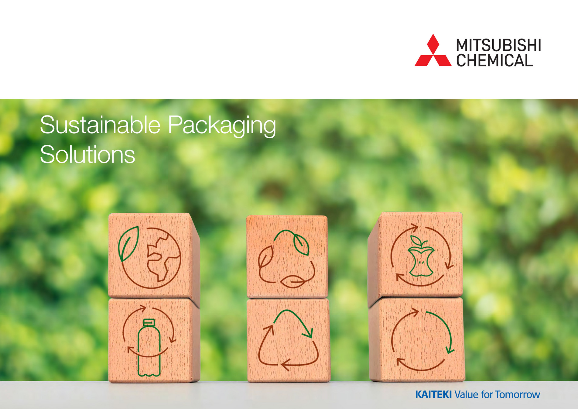 Mitsubishi Chemical America - Sustainable Packaging Solutions - Page 1