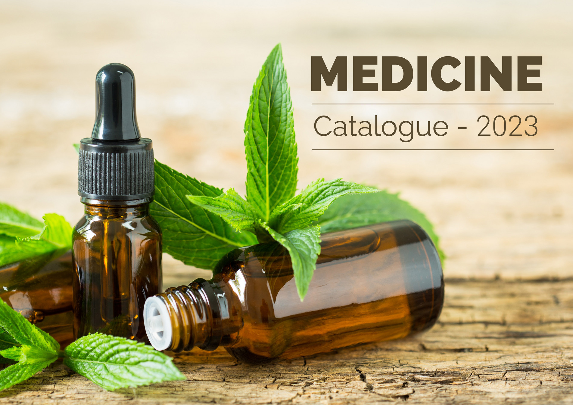 Lituanica Lituanica Medicine Mini Catalogue 2023 Page 1