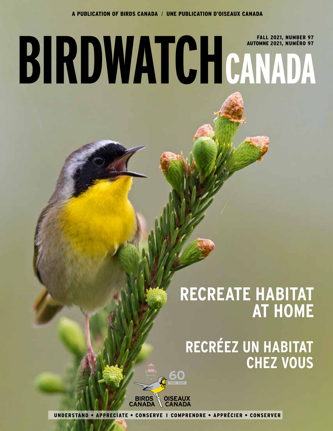 Birds Canada - BirdWatch Canada Fall 2021 - Page 1