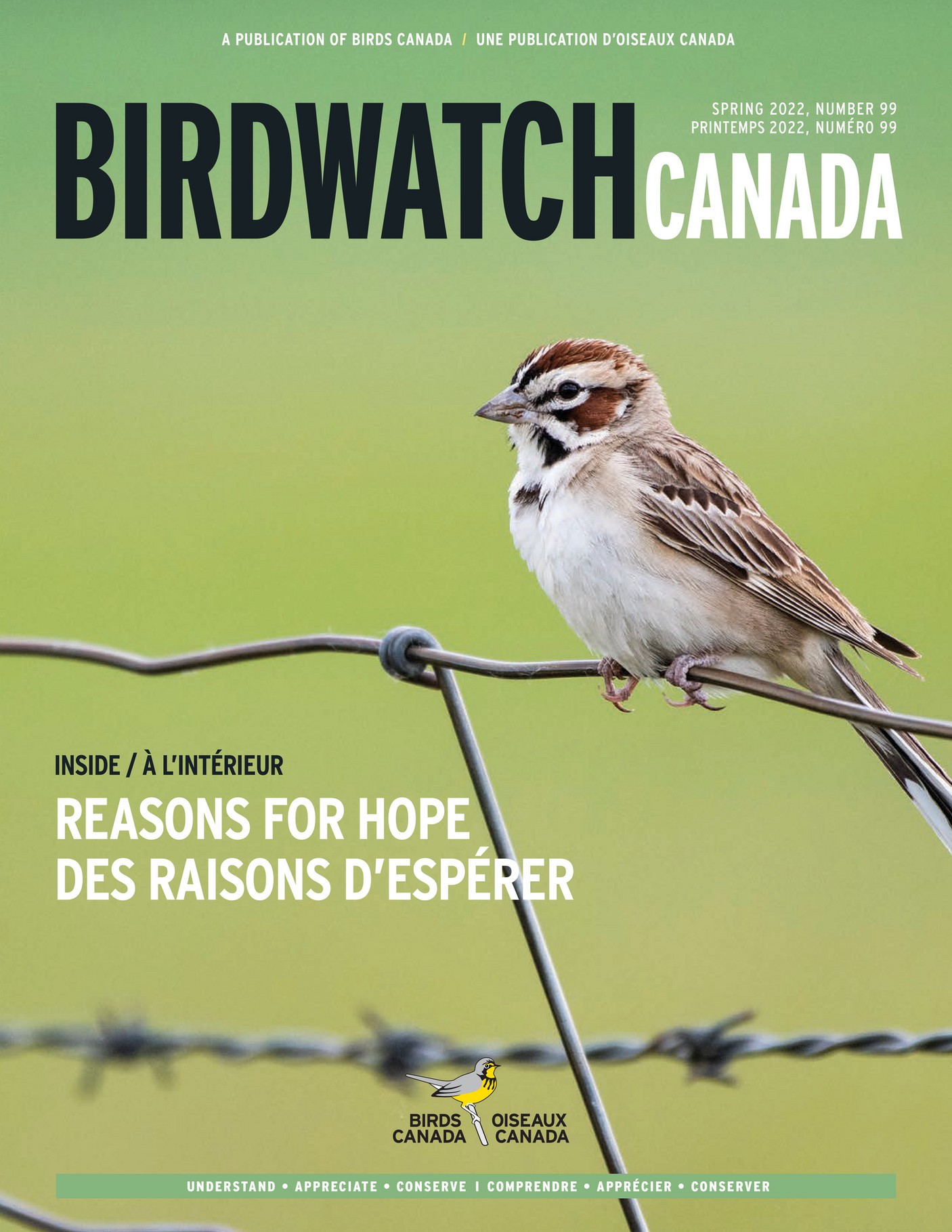 Birds Canada - 22-3175 - BirdWatch_Canada_Spring_Edition - Page 1