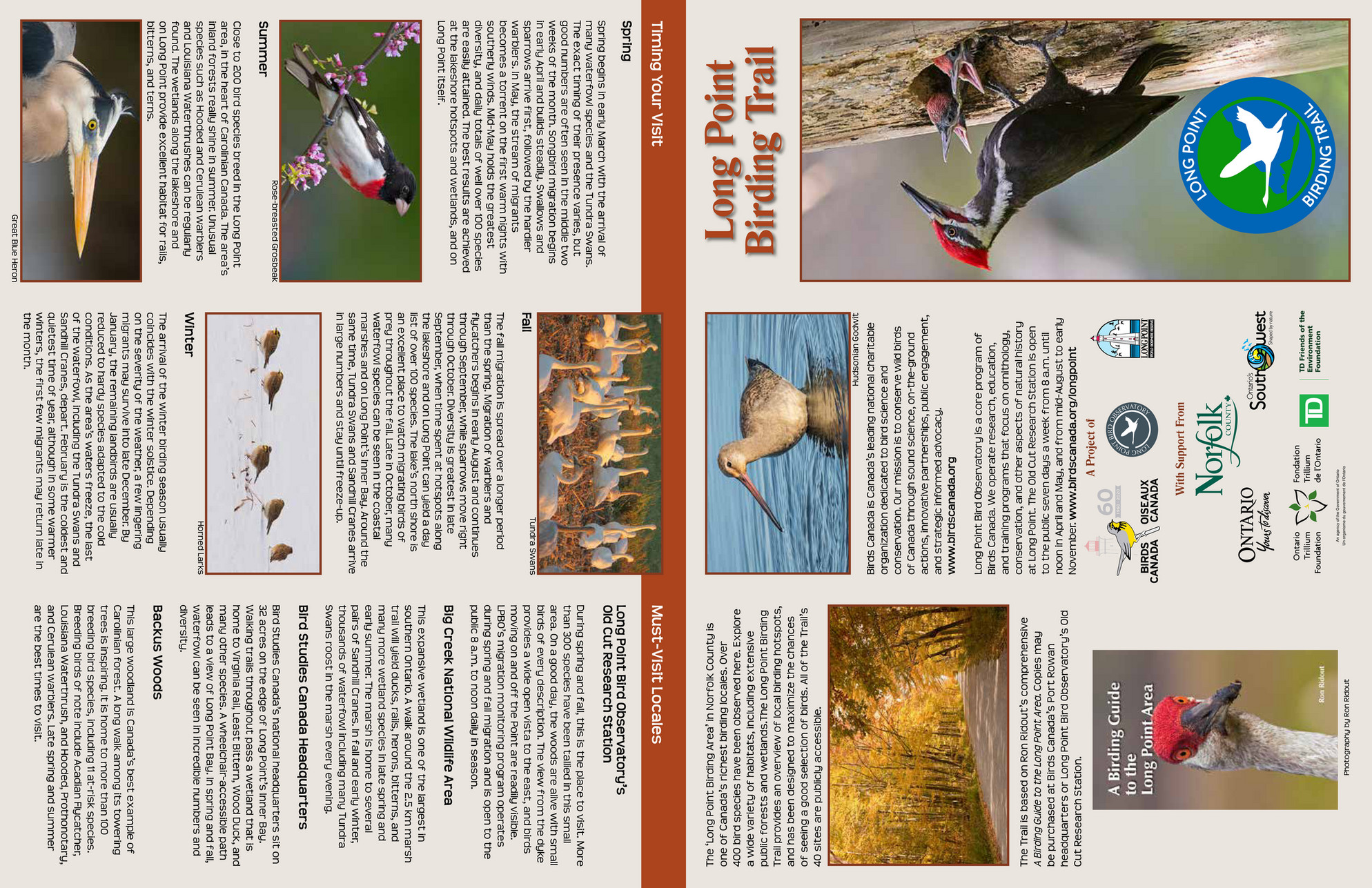 Birds Canada - Birding-Trail-brochure-2021 - Page 1