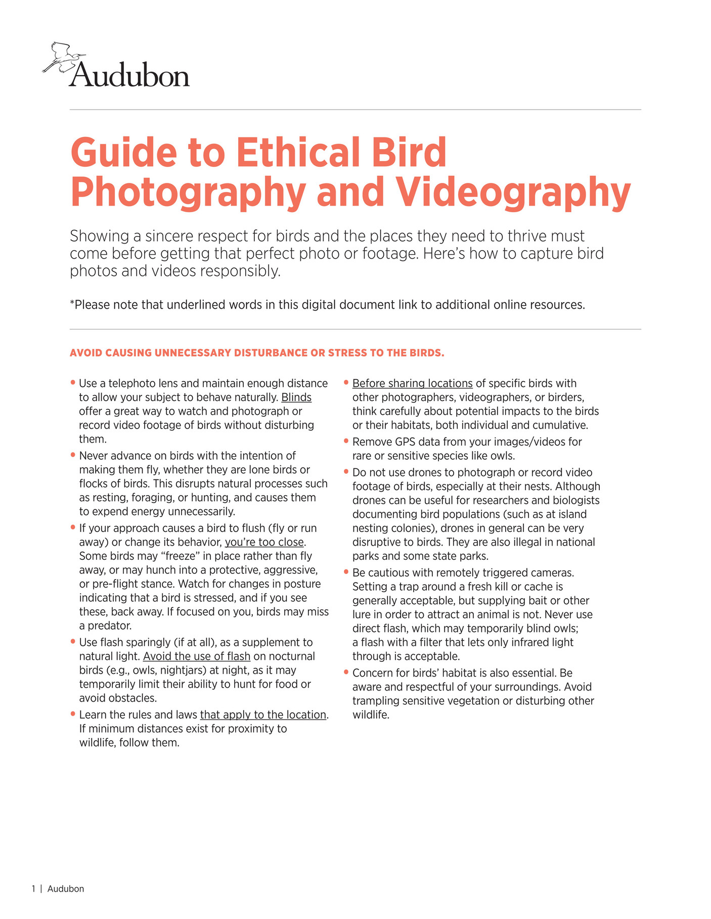 Birds Canada - audubon_ethics_guide_v4a - Page 1