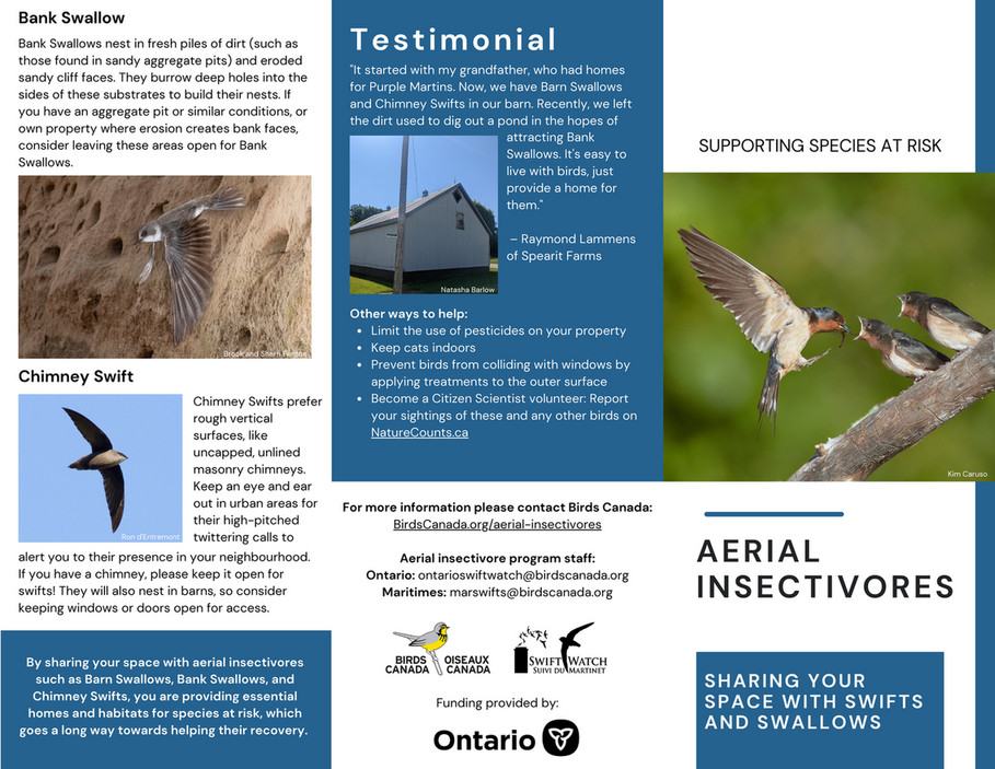 Birds Canada - AIstewardshipBrochure - Page 1