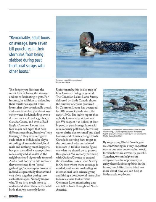 Birds Canada - BirdWatch_Canada_Summer_2023_On The Watch - Page 1