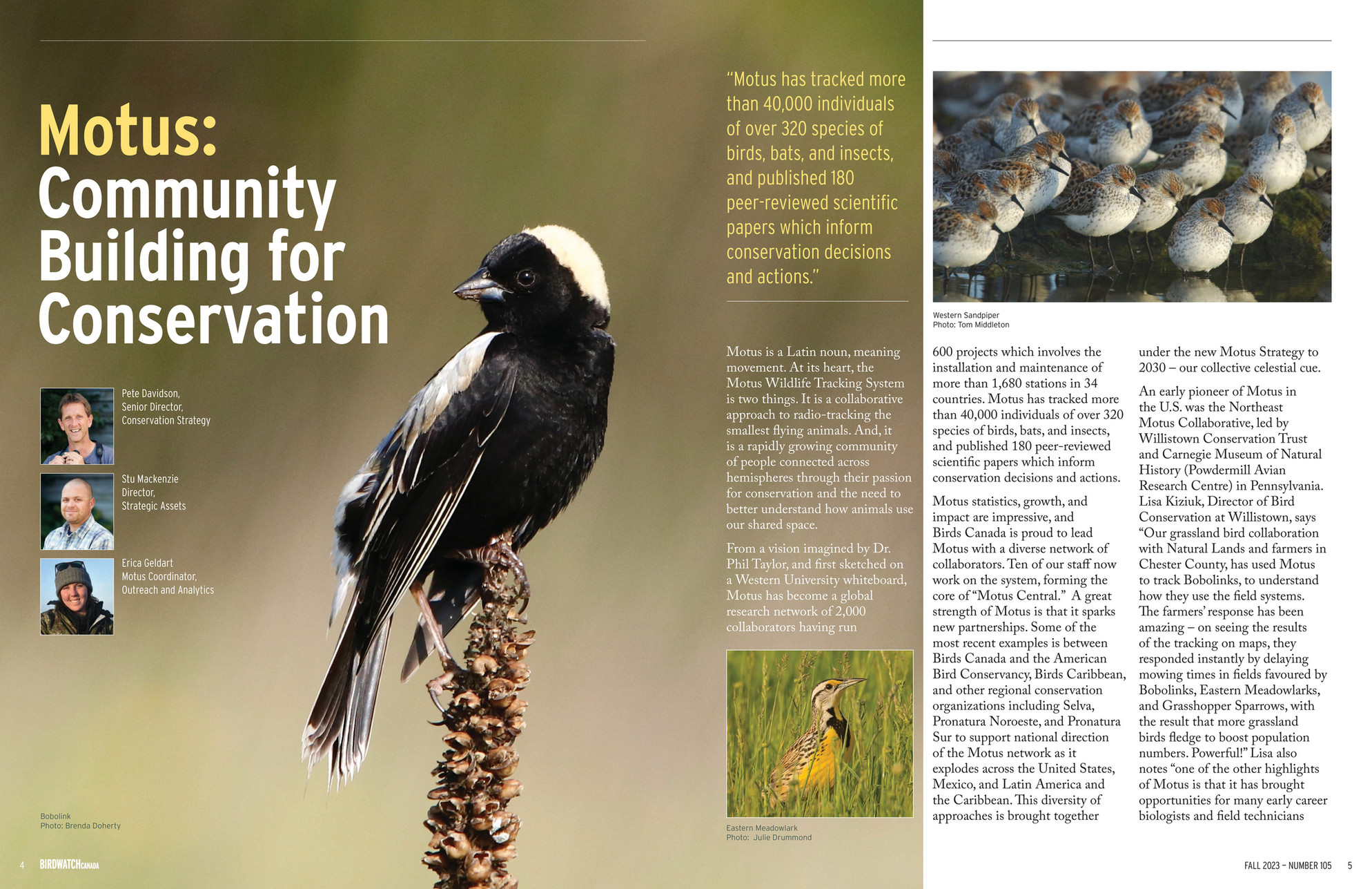 Birds Canada - 23-3491 - BirdWatch_Canada_Fall_Edition (Feature Article ...