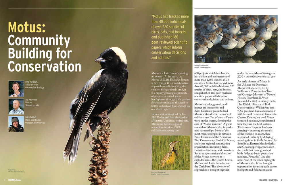 Birds Canada - 23-3491 - BirdWatch_Canada_Fall_Edition (Feature Article ...