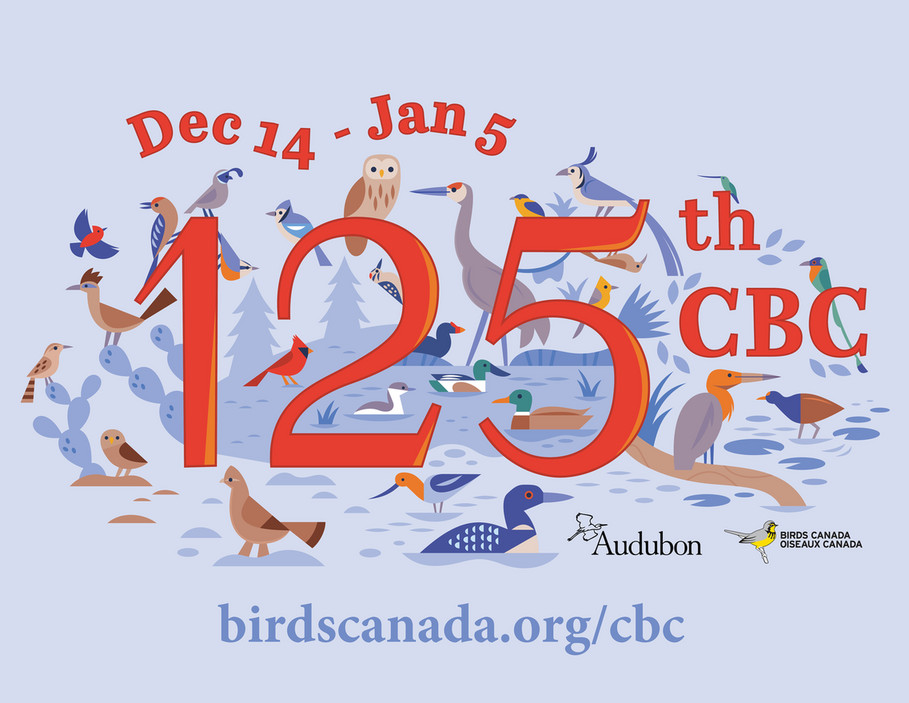 Birds Canada - 125th-cbc_poster - Page 1