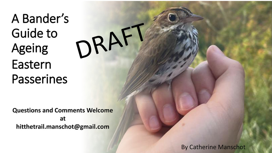 Birds Canada - A Bander's Guide to Ageing Eastern Passerines (1) - Page 1