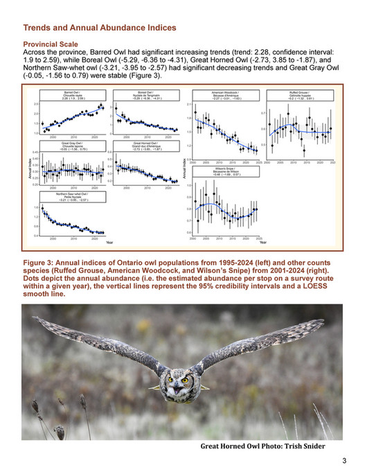 Birds Canada - ON Owl Newsletter2025 - Page 1