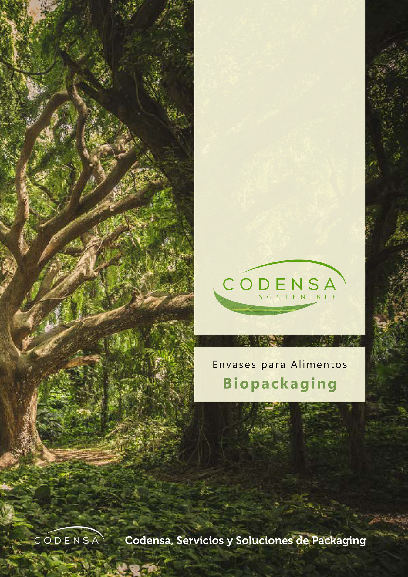 CATÁLOGO Codensa Envases Sostenibles - Página 1