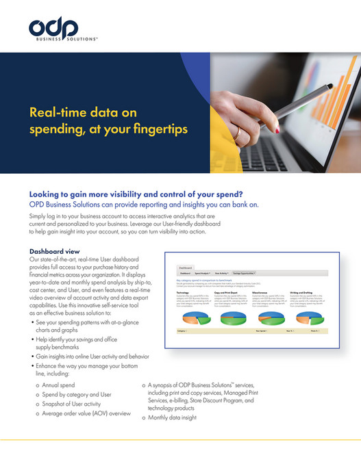 Reporting Dashboard Capabilities - Page 1