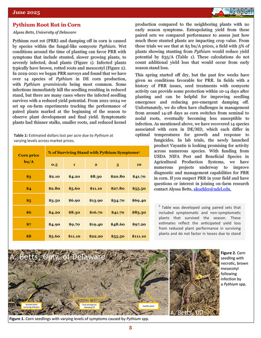 University of Maryland Extension - June 2025 - AG INSIGHT - Page 4-5