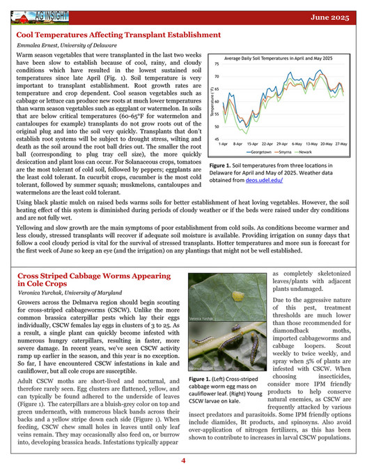 University of Maryland Extension - June 2025 - AG INSIGHT - Page 4-5