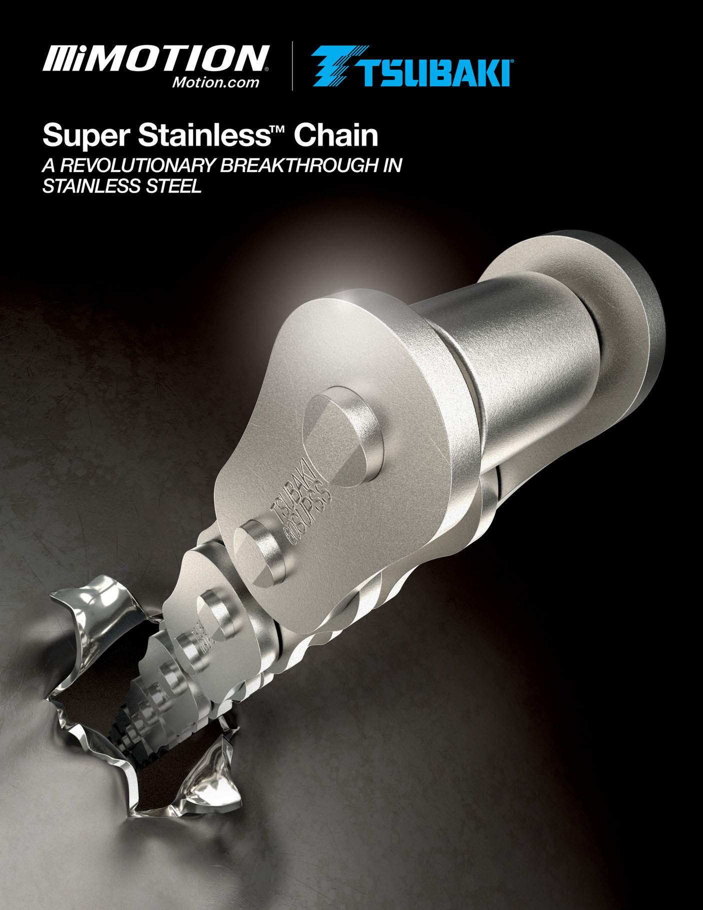 Motion - 1214144313 - Co-branding TSUBAKI Super_Stainless_Chain_05221 ...