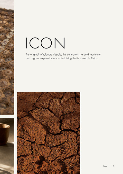 Weylandts - Partner Programme Guide FY26 - Page 10-11