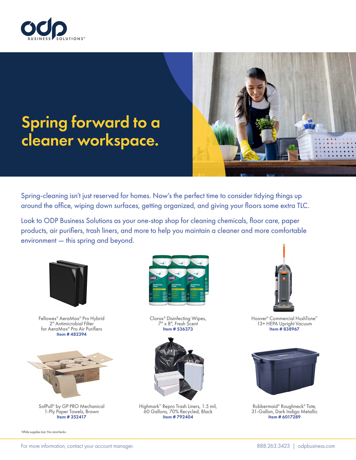 ODP Spring Cleaning Flyer - Page 1