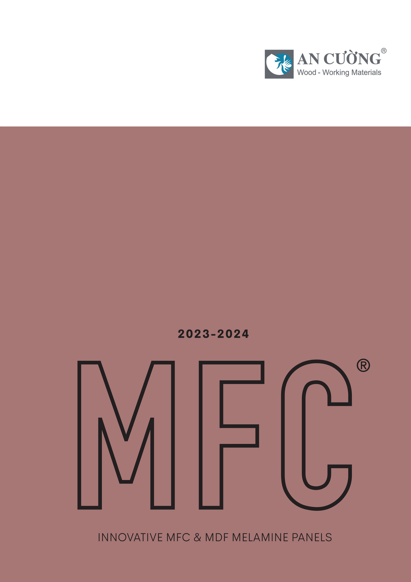 INNOVATIVE MFC & MDF MELAMINE PANELS - Trang 4-5