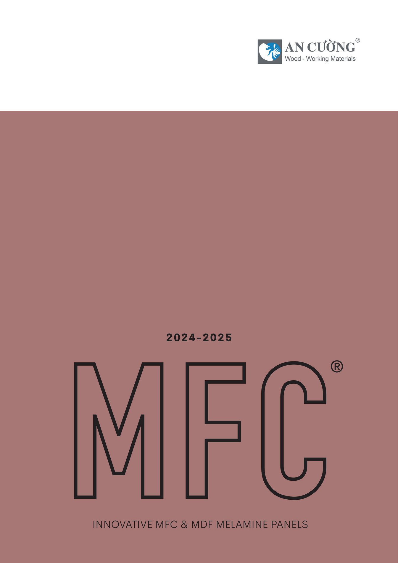 INNOVATIVE MFC & MDF MELAMINE PANELS - Trang 2-3