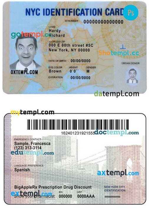 Doctempl - USA New York ID card template in PSD - Page 1